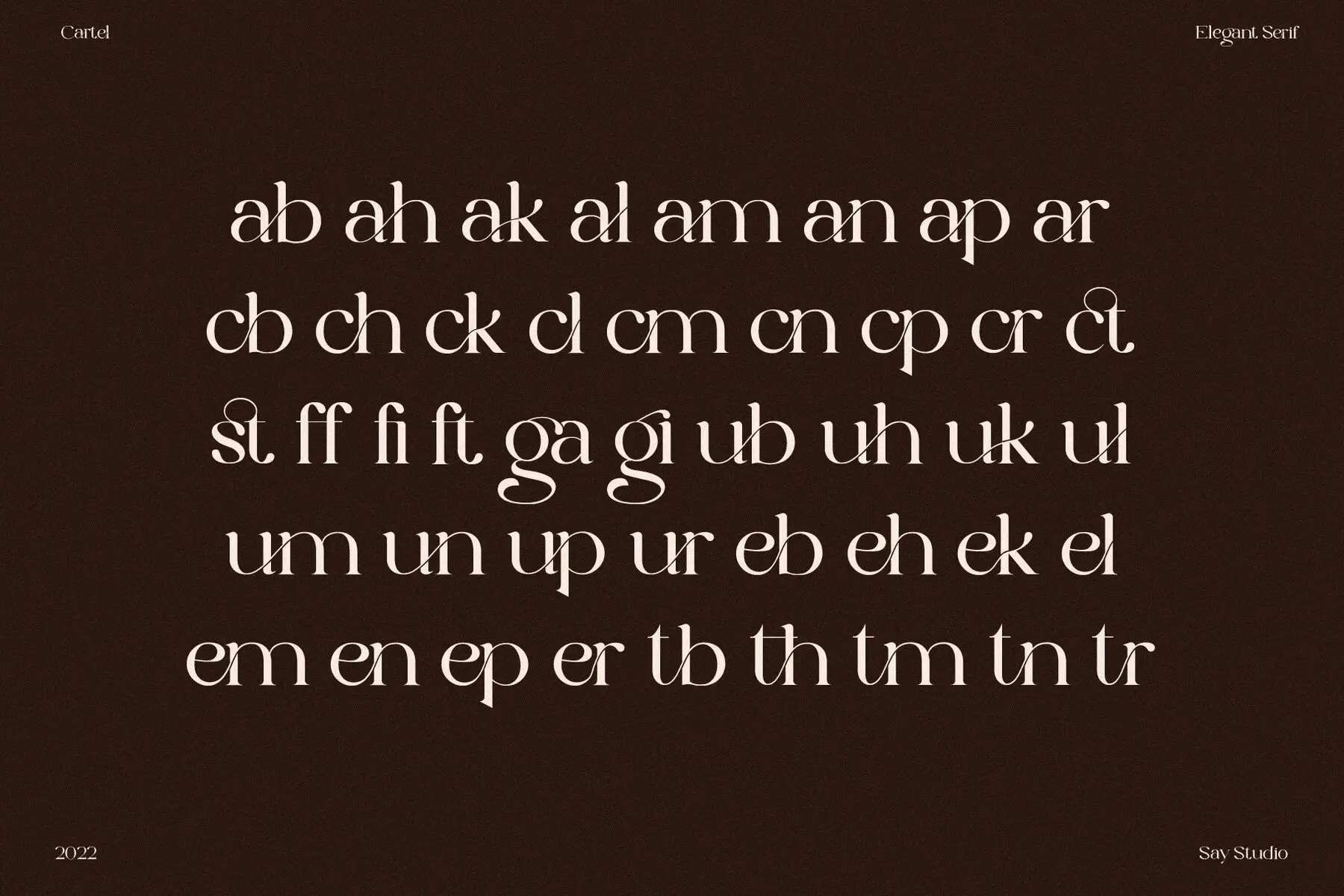 The Cartel Font - YouWorkForThem