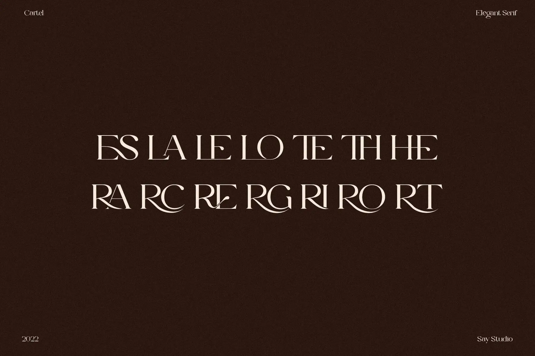 The Cartel Font - YouWorkForThem