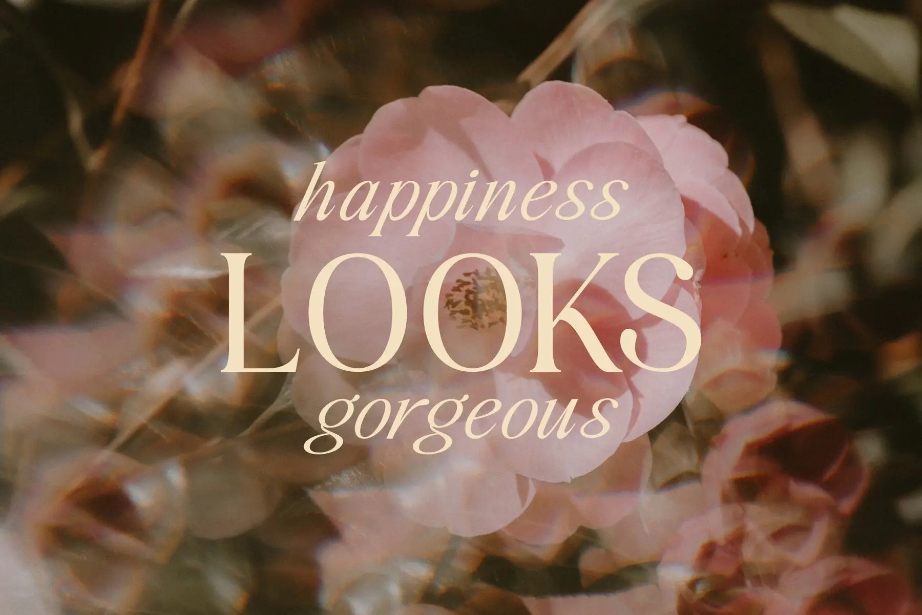 Shows Gracious Font - YouWorkForThem