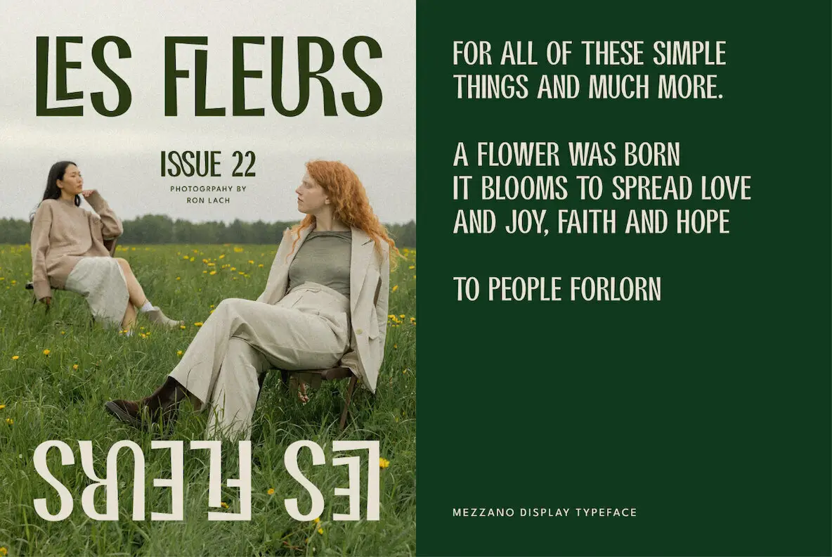 Mezzano Font - YouWorkForThem