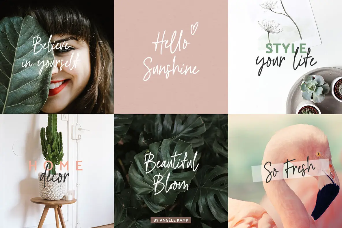 River Jade Font - YouWorkForThem