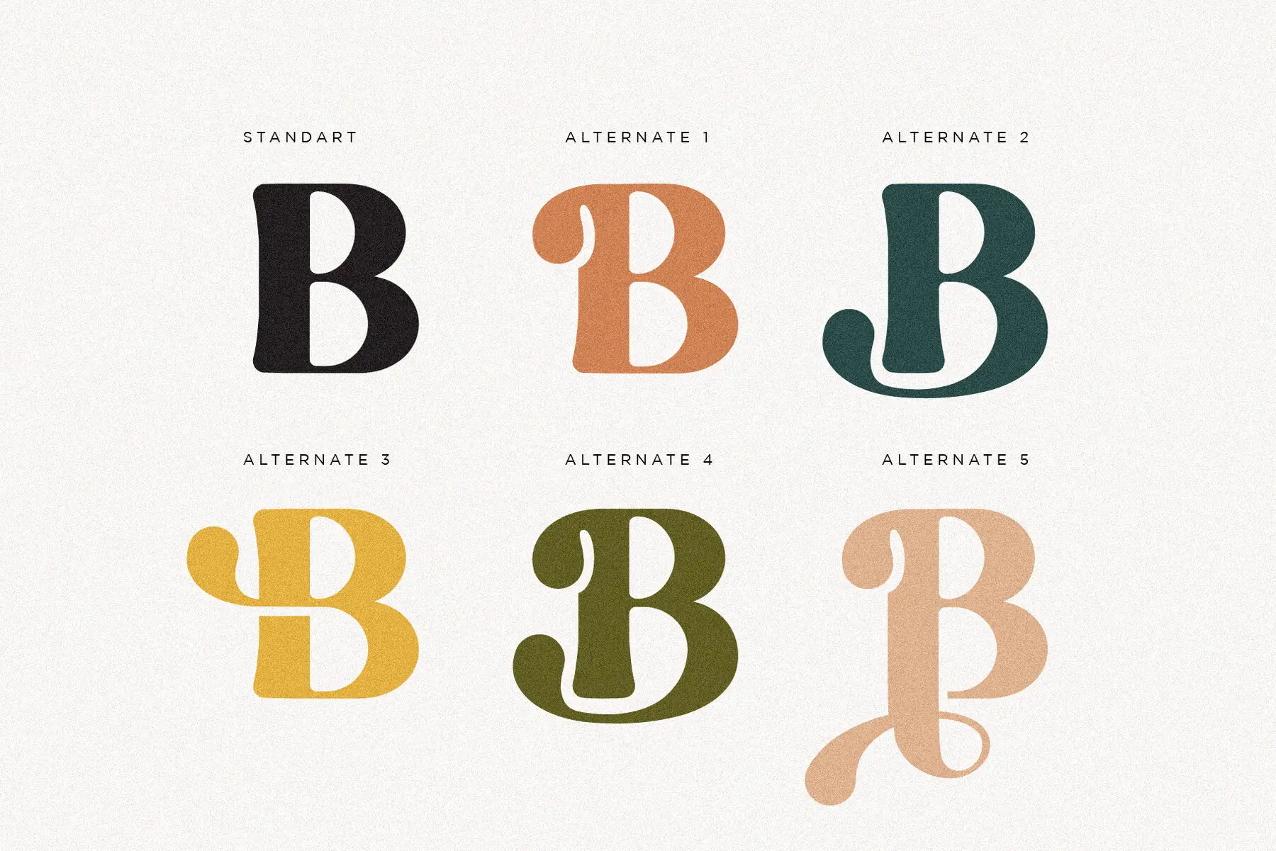 Special Charisma Font - YouWorkForThem