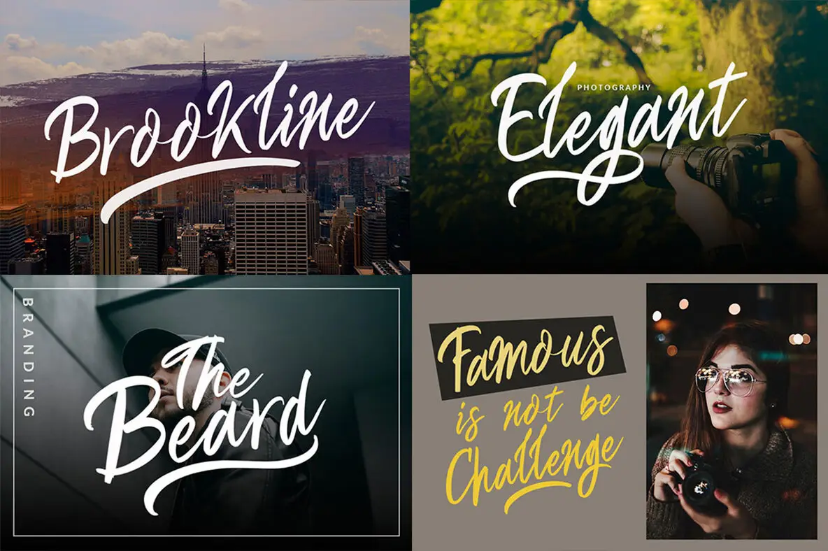 Beautiful Script Fonts Mini Bundle Font - FontPath