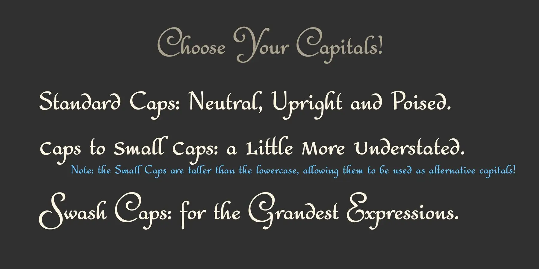 Bex Script Font - YouWorkForThem