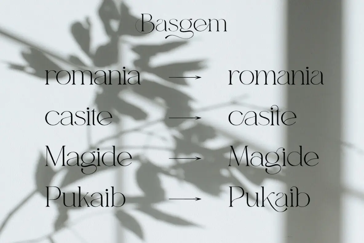 Basgem Font - YouWorkForThem