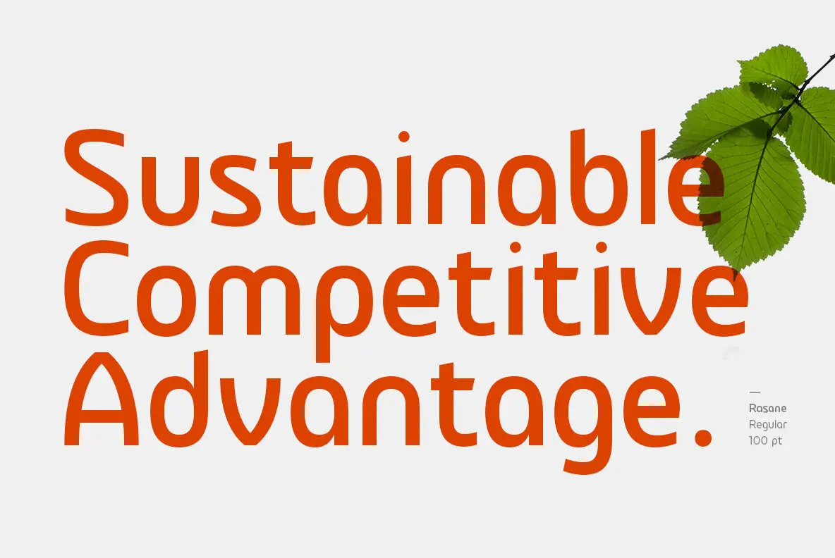 Rasane Font - YouWorkForThem