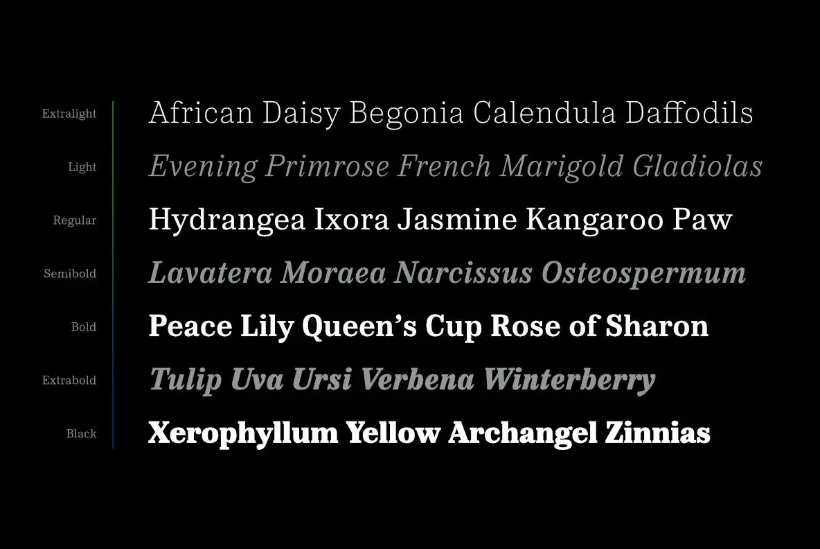 Warkat Font - YouWorkForThem