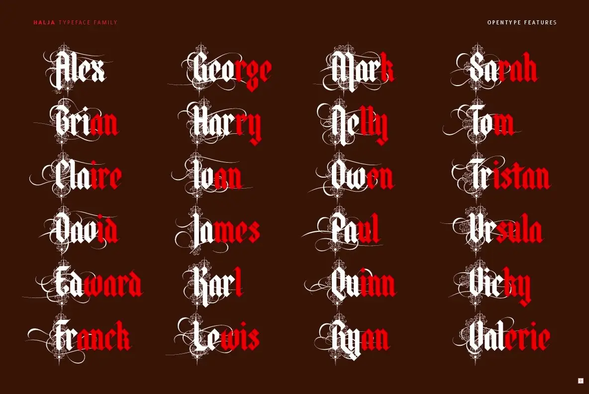 Halja Font - YouWorkForThem