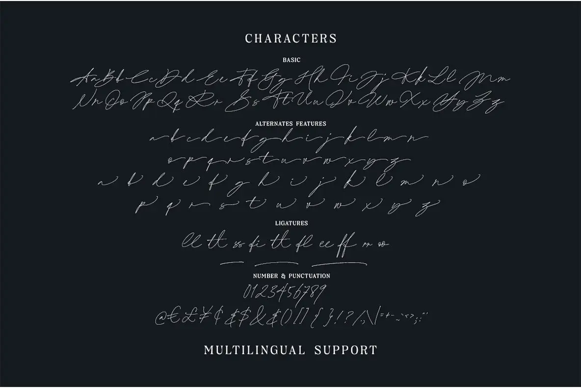 Sheila King Font - YouWorkForThem