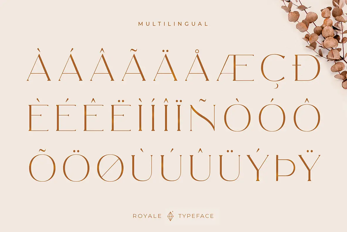 Royale Luxurious Font - YouWorkForThem