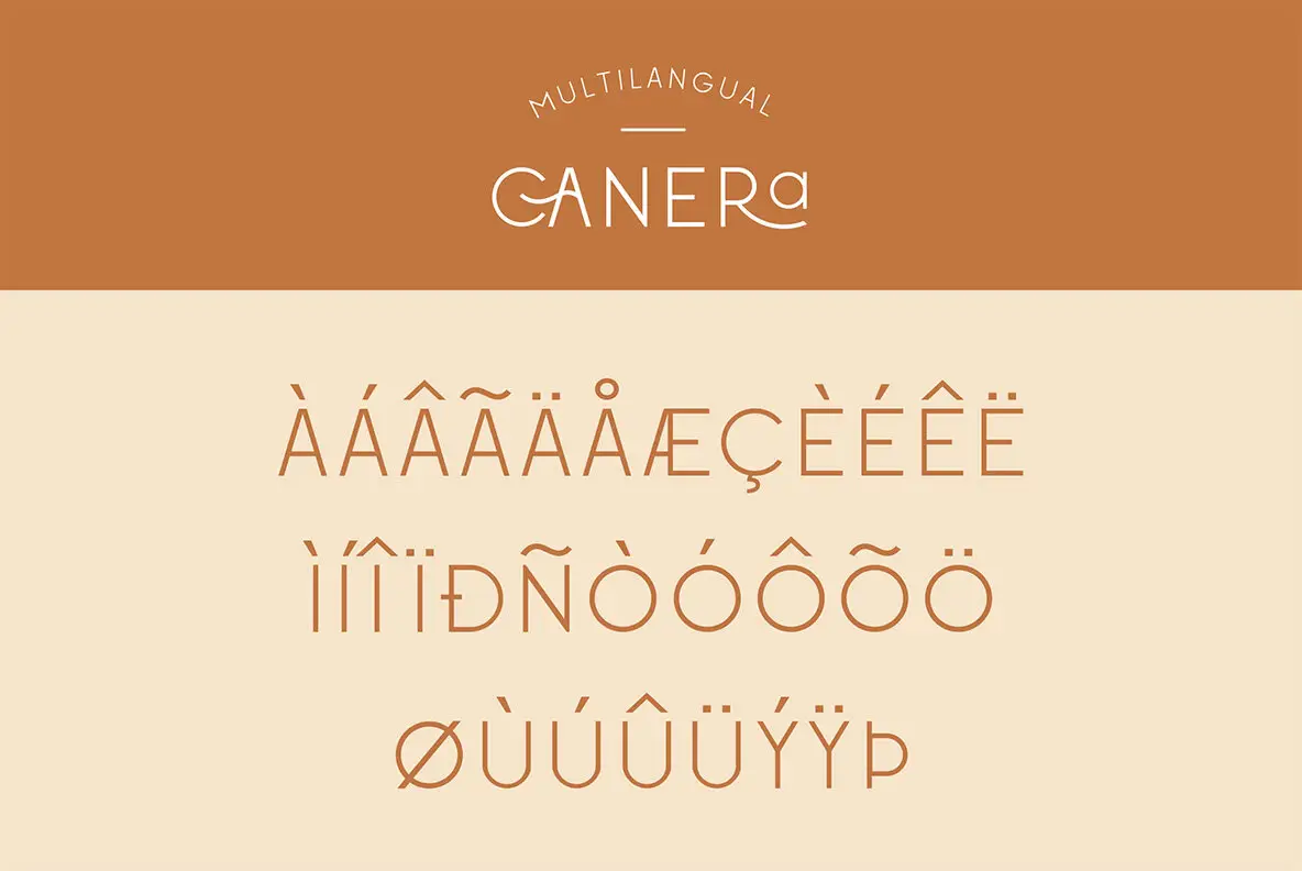 Canera Font - YouWorkForThem