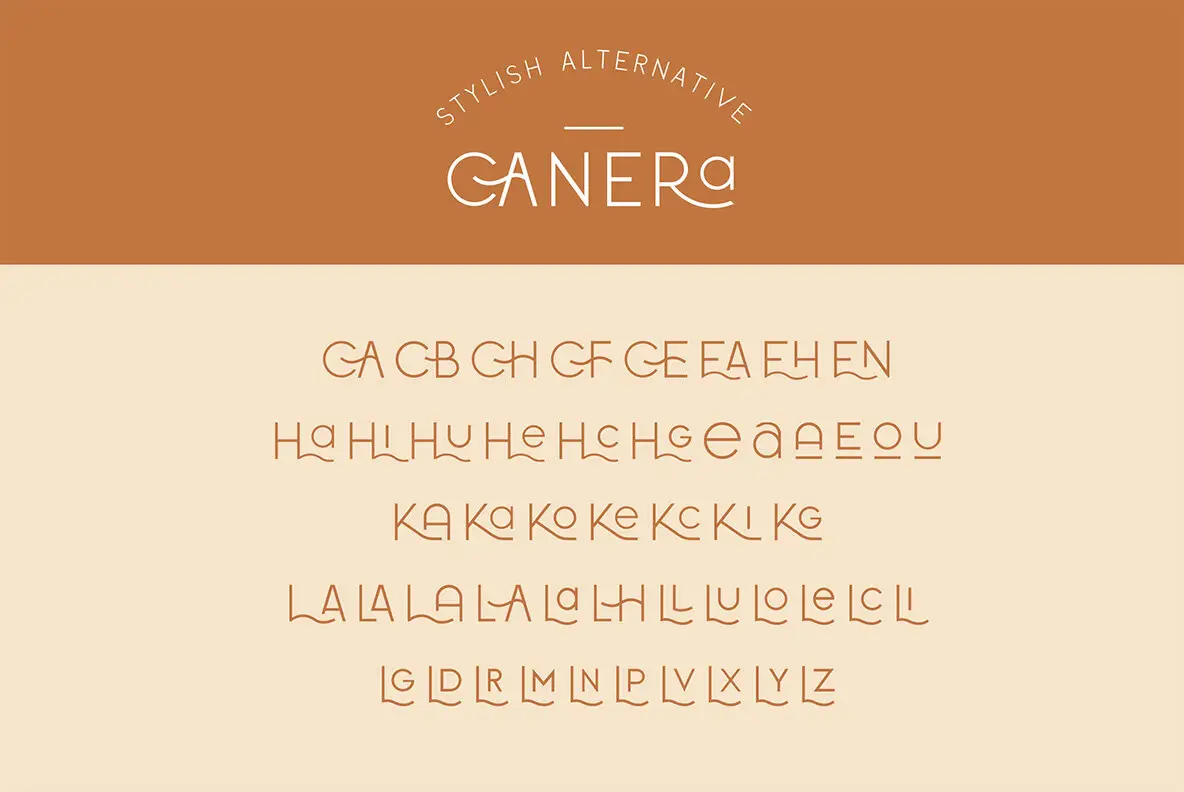 Canera Font - YouWorkForThem