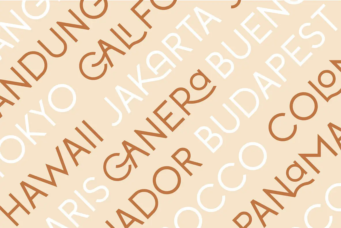 Canera Font - YouWorkForThem