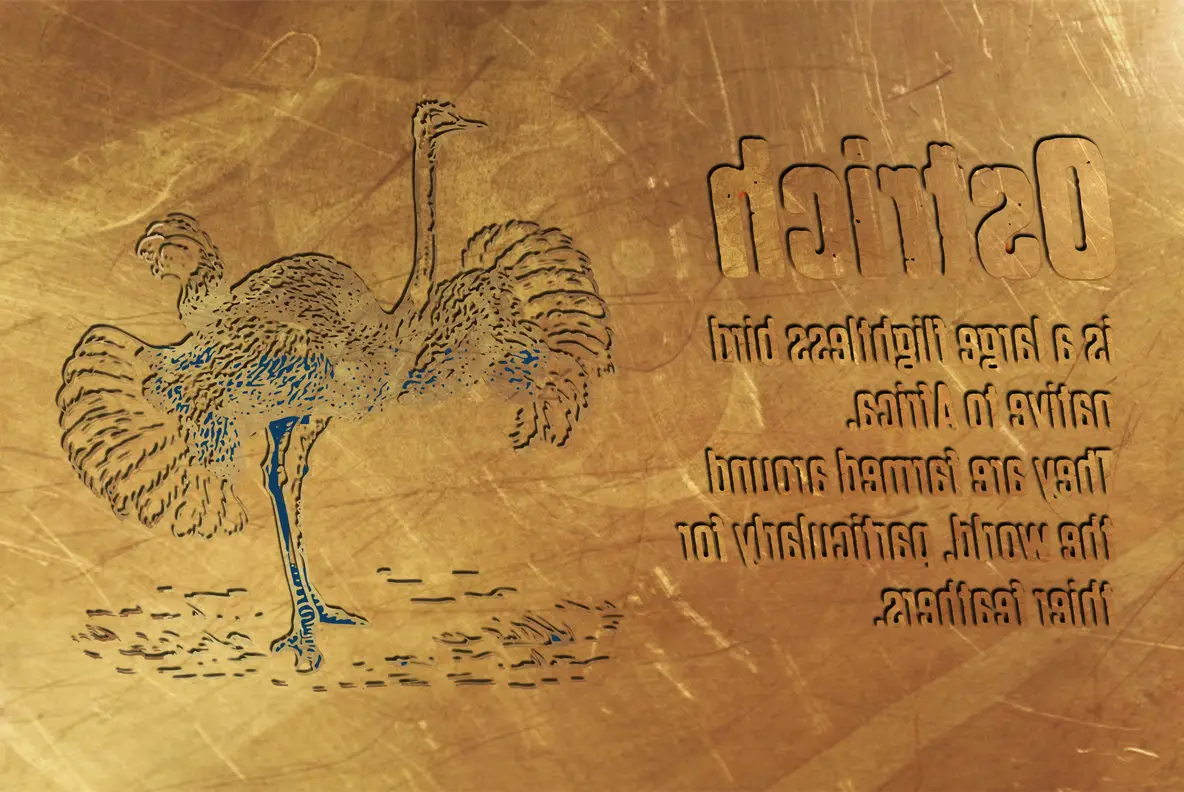 Dharma Gothic P Font - FontPath