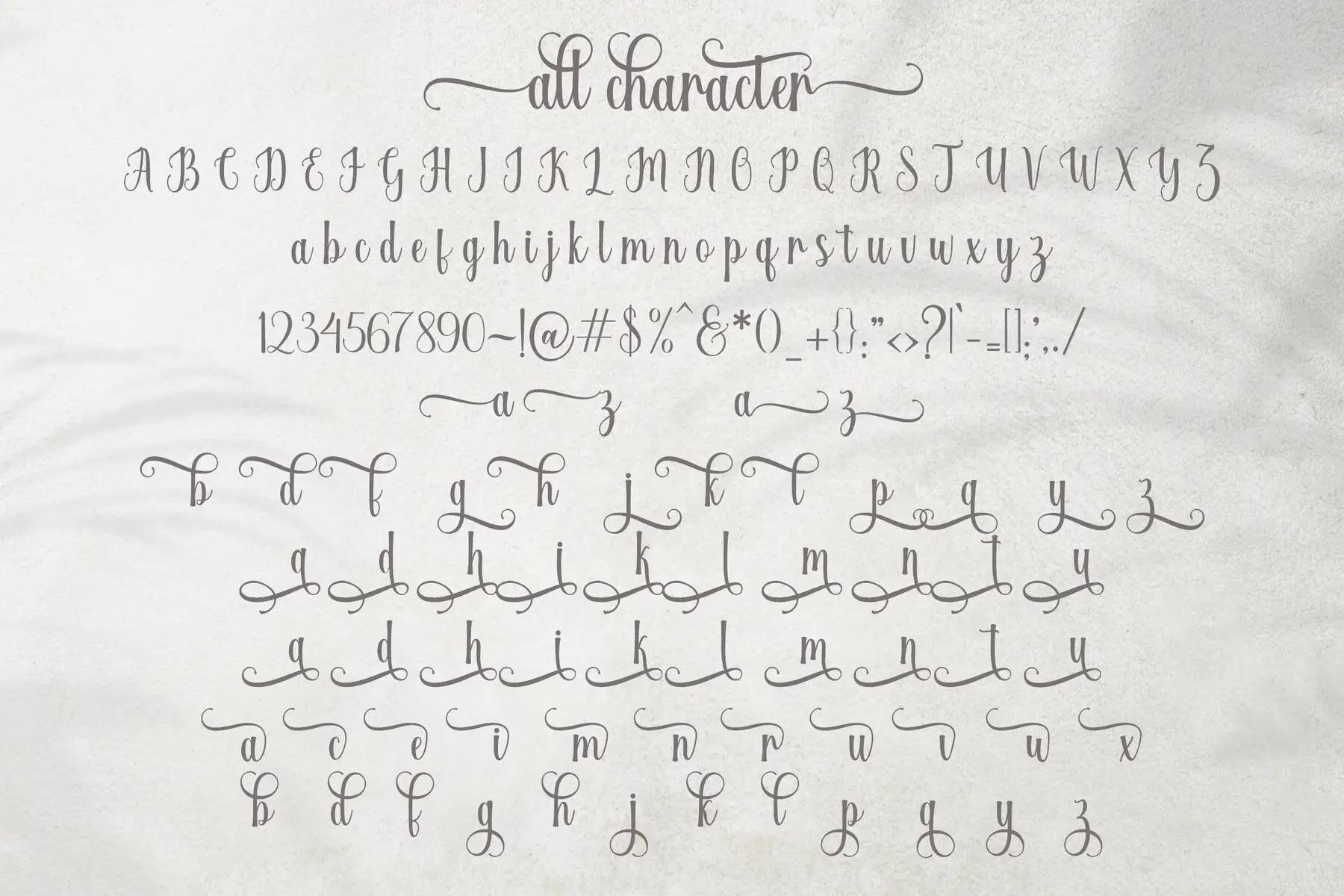 Paradise Font - YouWorkForThem