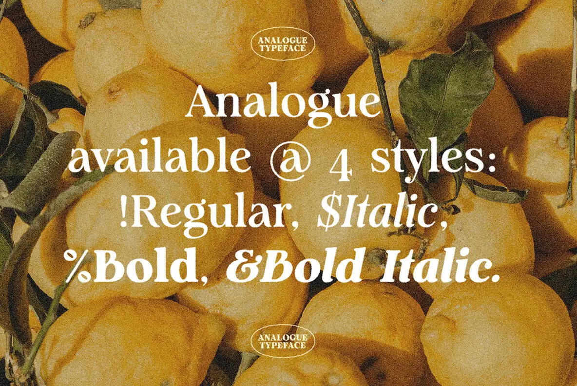 Analogue Font: A Harmonious Tapestry of Timeless Letterforms - FontPath