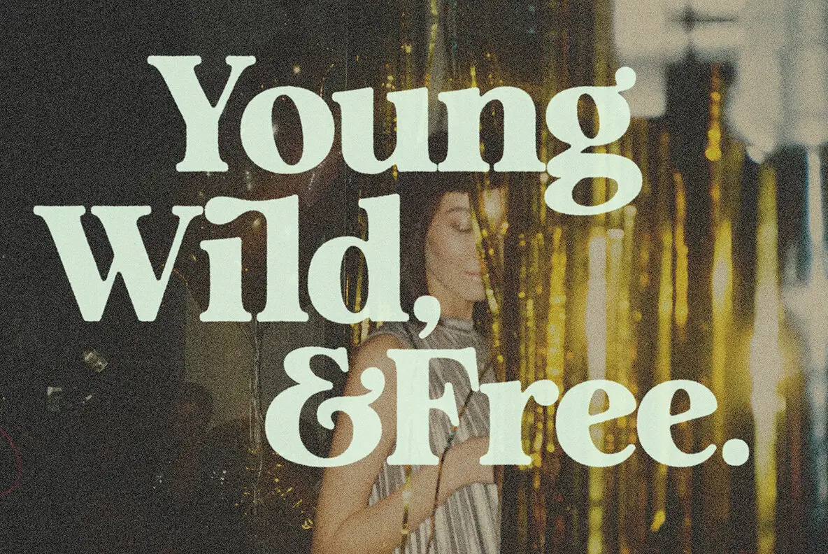 Analogue Font: A Harmonious Tapestry of Timeless Letterforms ...