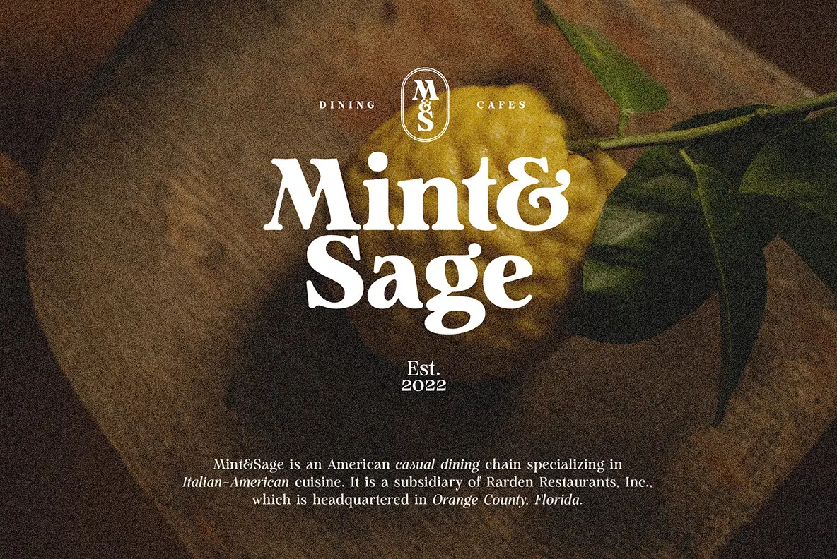 Analogue Font: A Harmonious Tapestry of Timeless Letterforms - FontPath