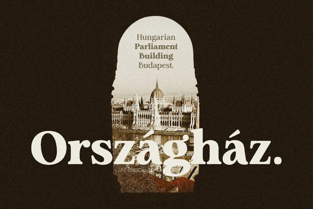 Analogue Font: A Harmonious Tapestry of Timeless Letterforms ...