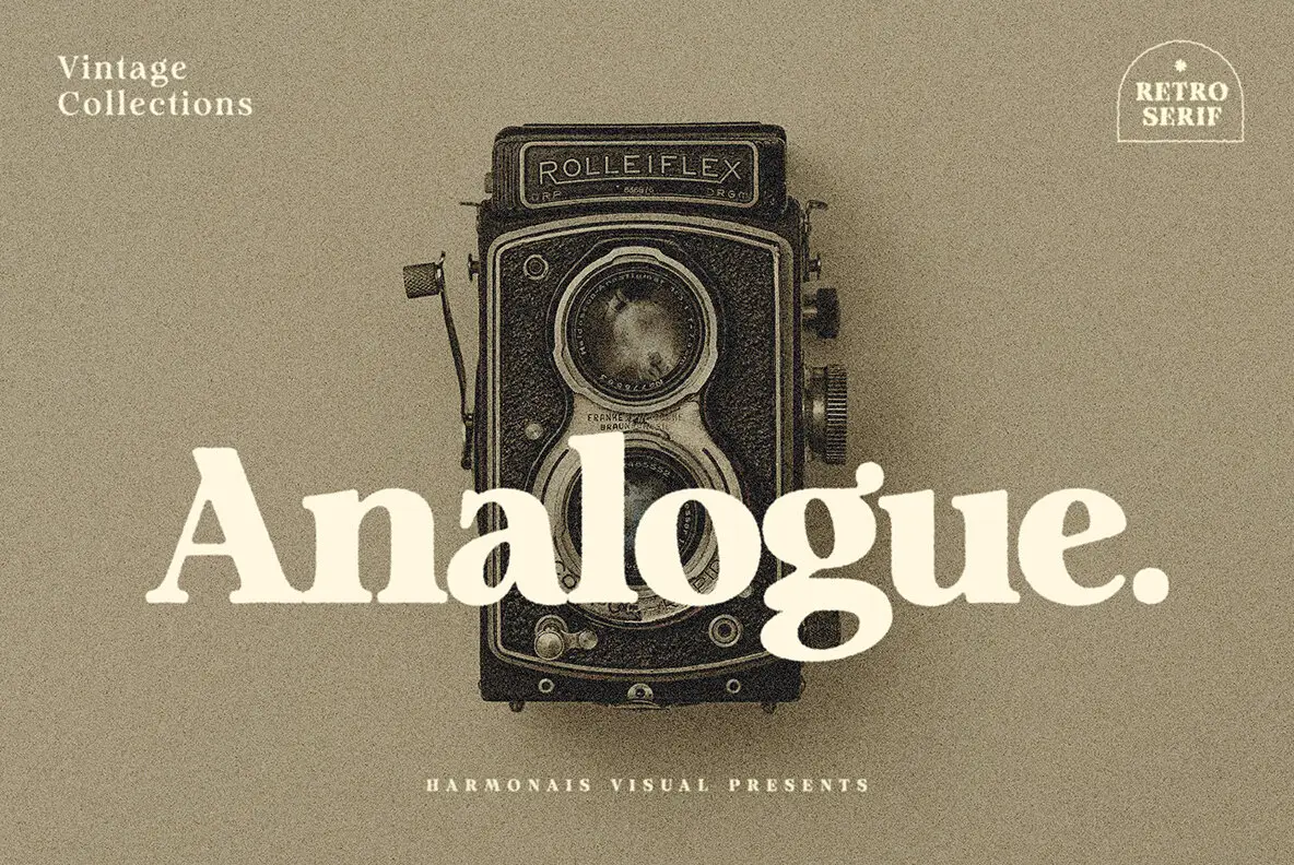 Analogue Font: A Harmonious Tapestry of Timeless Letterforms ...