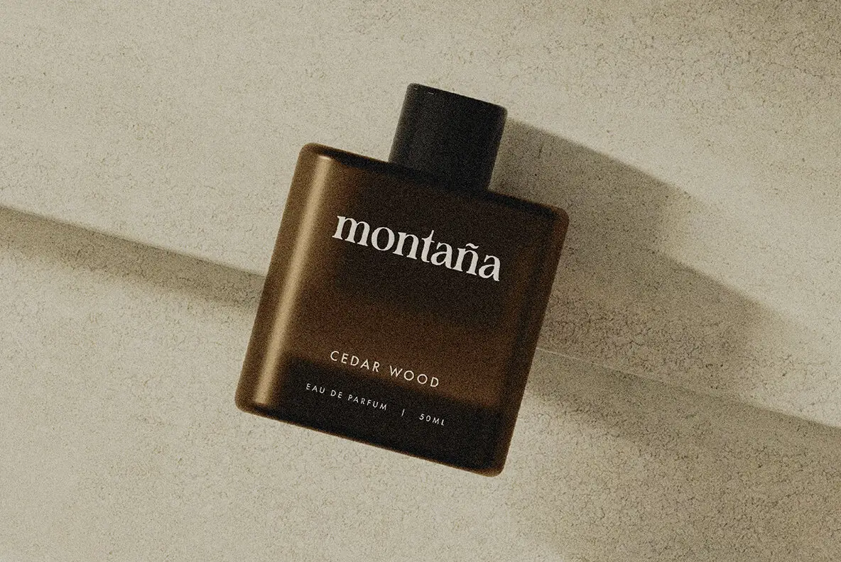 Analogue Font: A Harmonious Tapestry of Timeless Letterforms ...