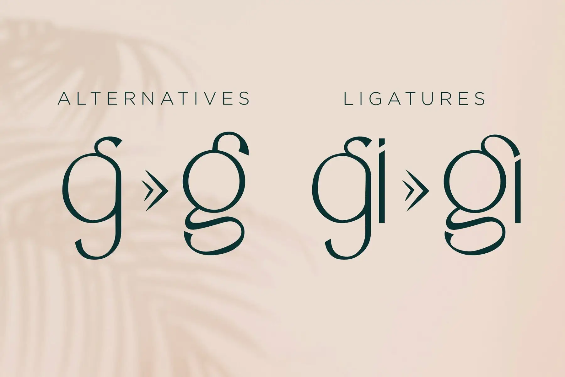 Glorya Font - YouWorkForThem