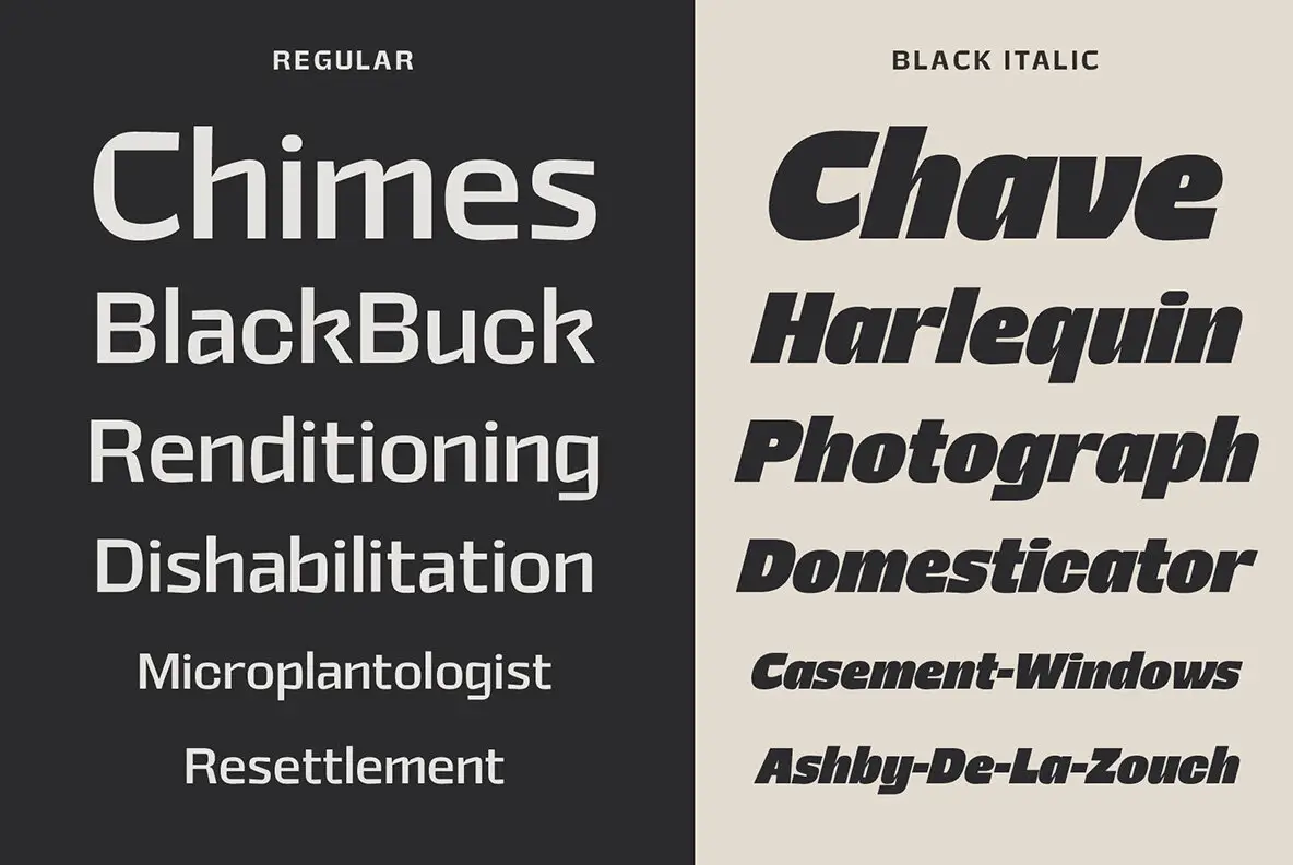 ROGY Font - YouWorkForThem
