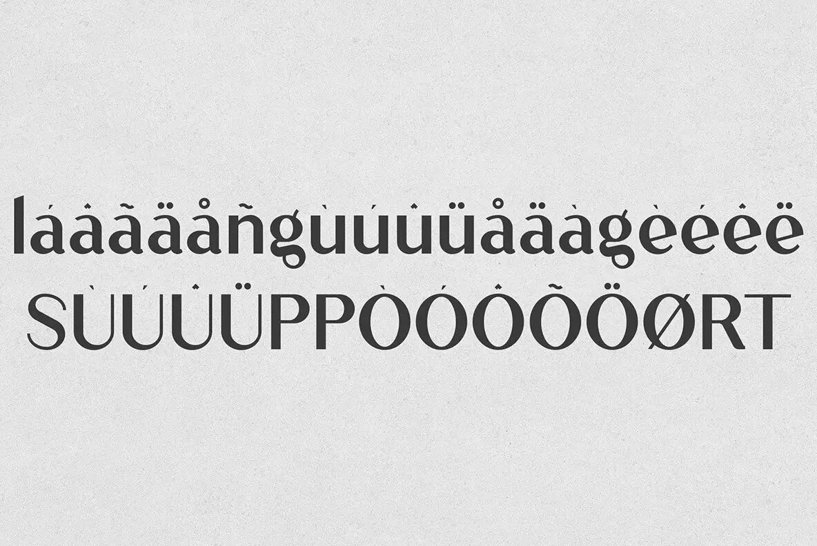 Ludic Font - YouWorkForThem