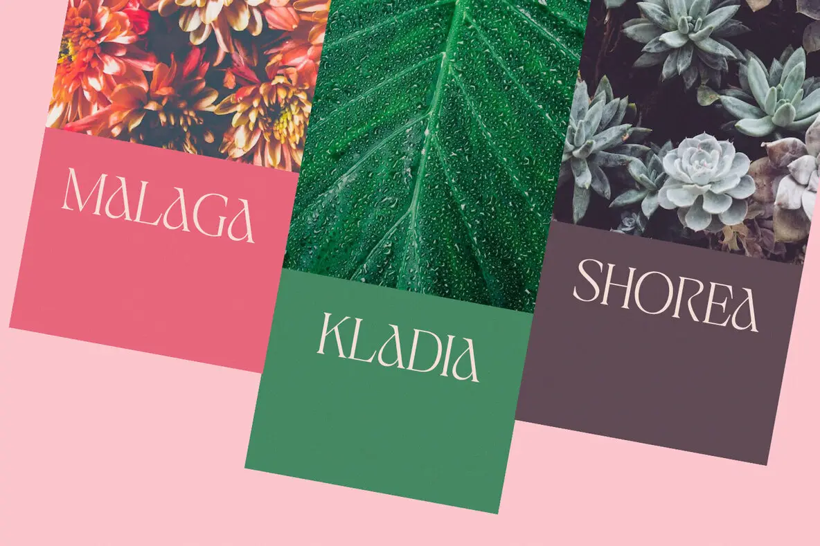 Jaella Font - YouWorkForThem