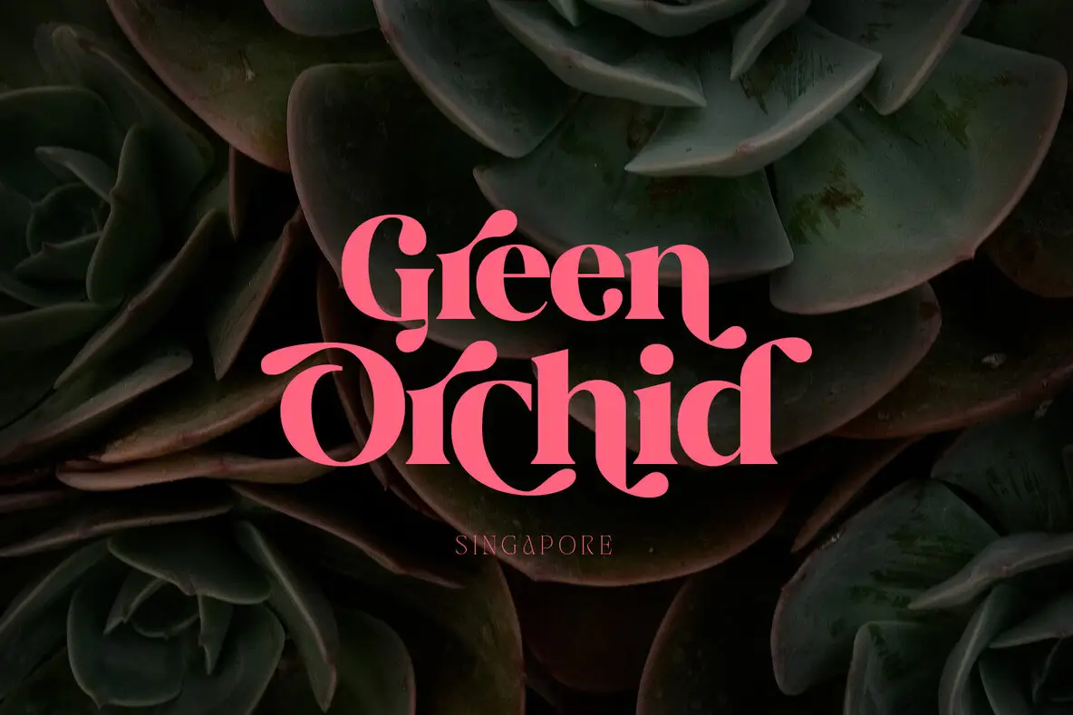 Jaella Font - YouWorkForThem