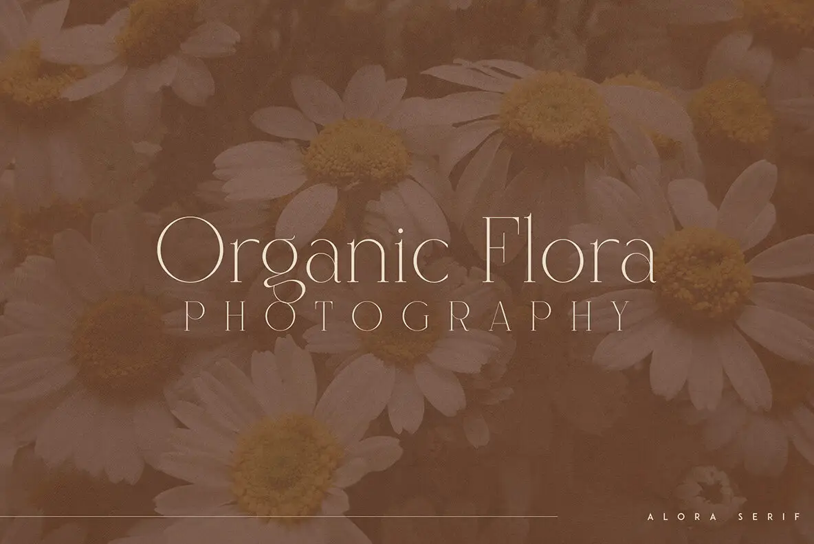 Alora Font - YouWorkForThem
