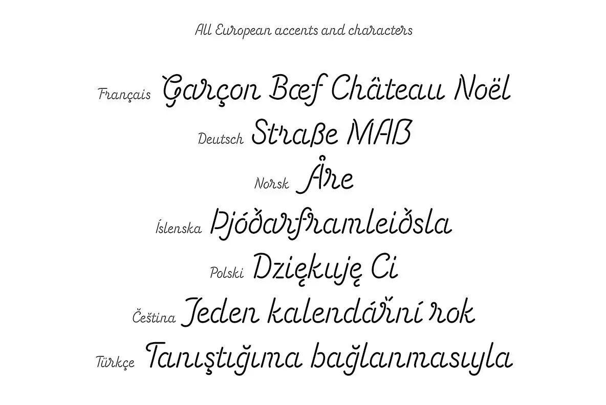 Energetic Script Font - FontPath