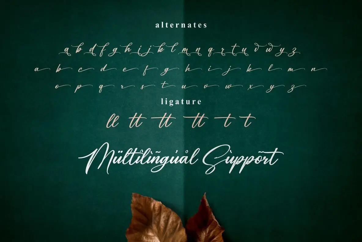 Alexandria Signature Font - YouWorkForThem