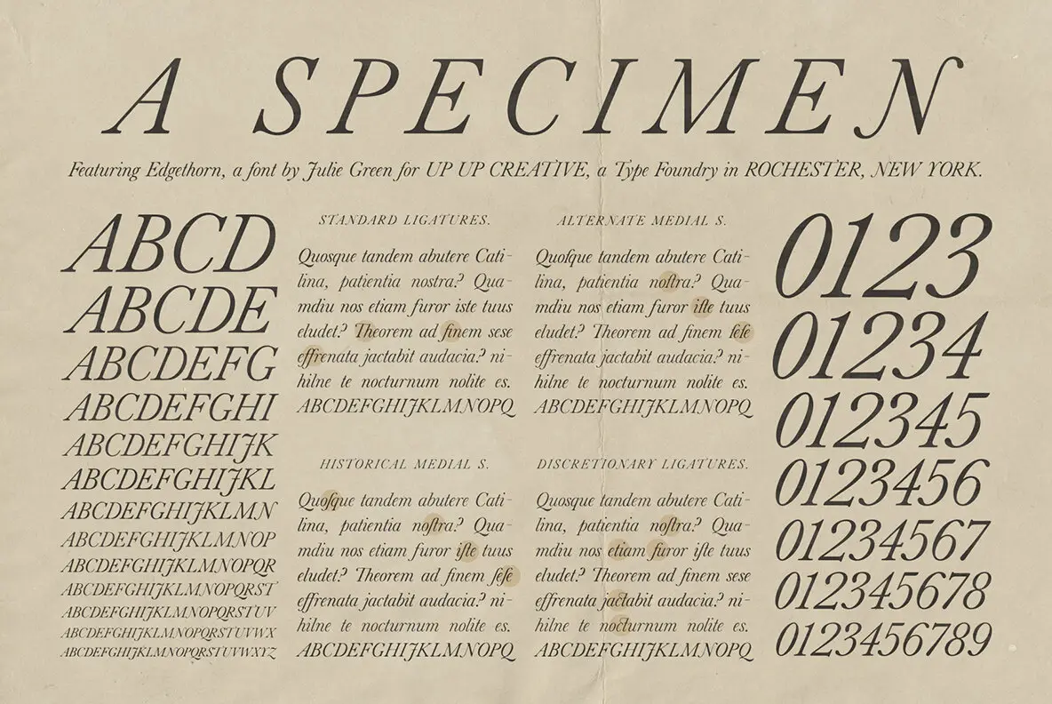Edgethorn Font - YouWorkForThem