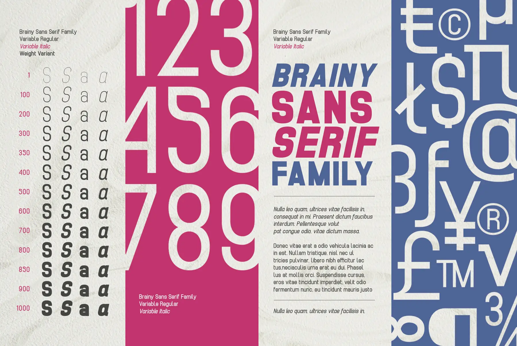 Brainy Variable Font - YouWorkForThem