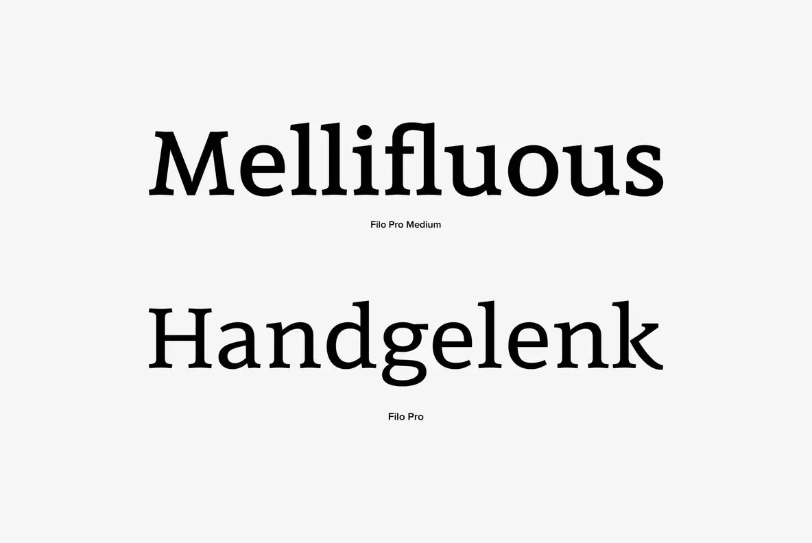 Filo Pro Font - FontPath