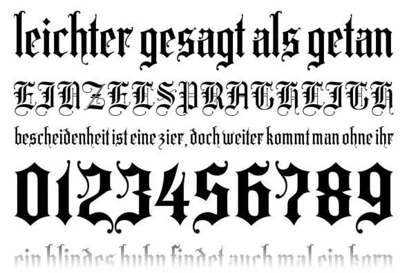 Ruca Font - YouWorkForThem