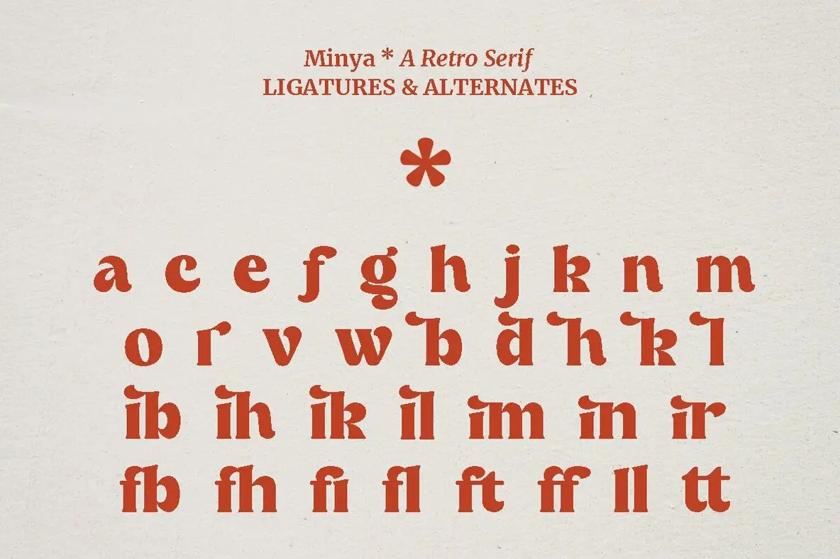 Minya Font - YouWorkForThem