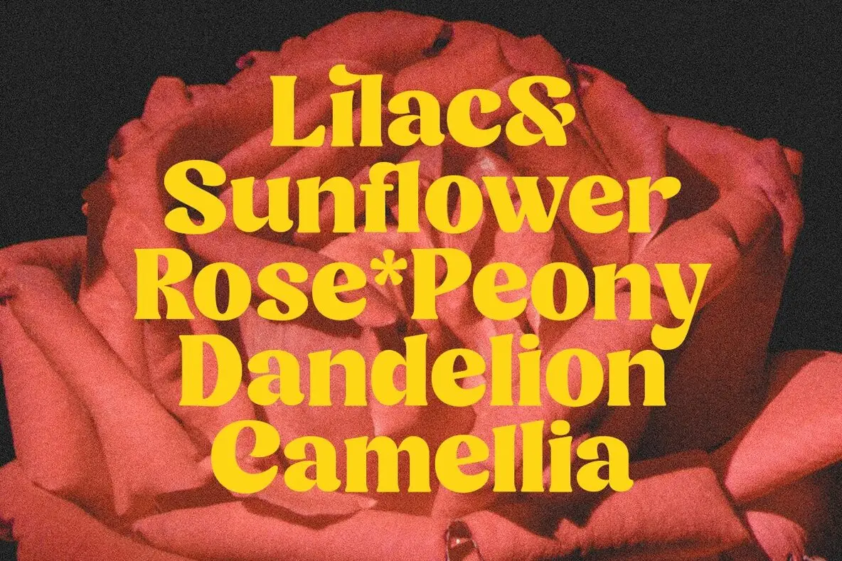 Minya Font - YouWorkForThem