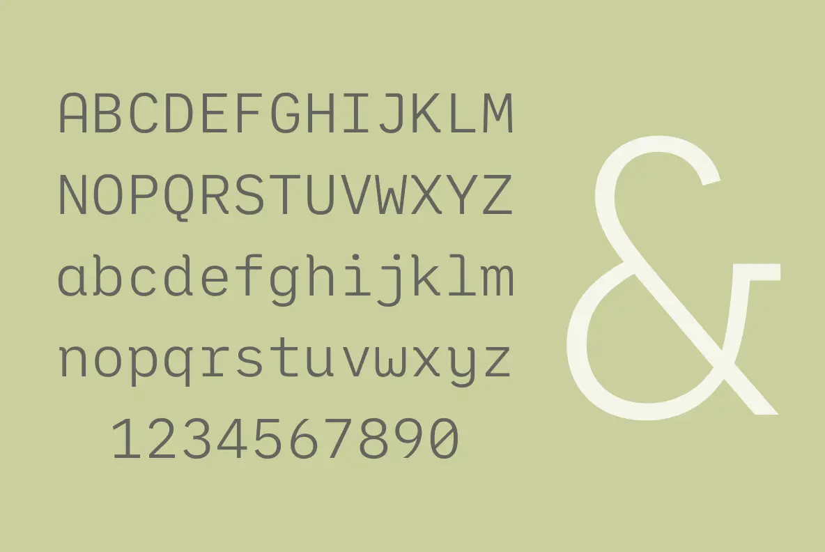 Codeline Mono Font - YouWorkForThem