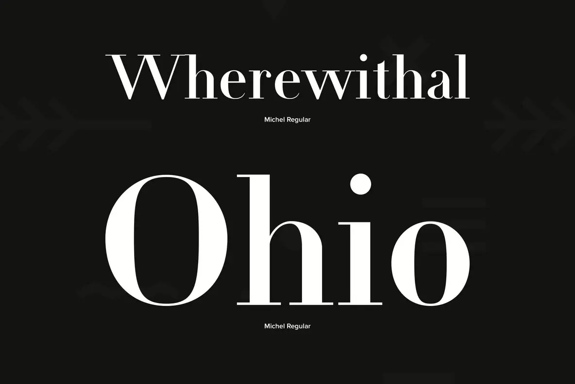Michel Font - YouWorkForThem