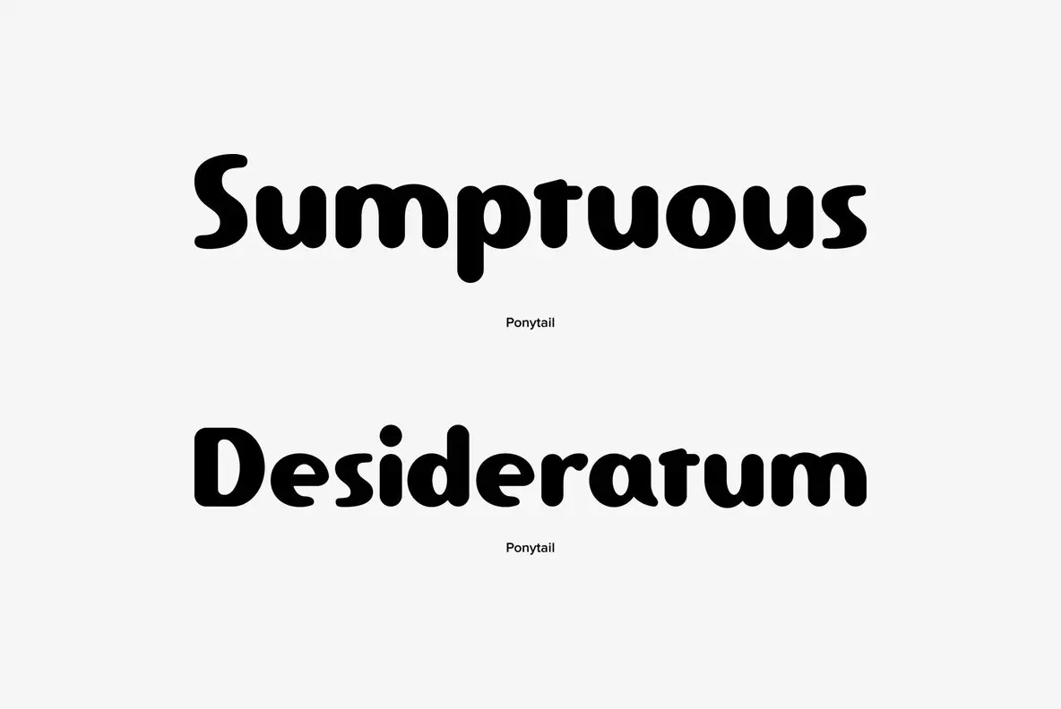 Ponytail Font - YouWorkForThem