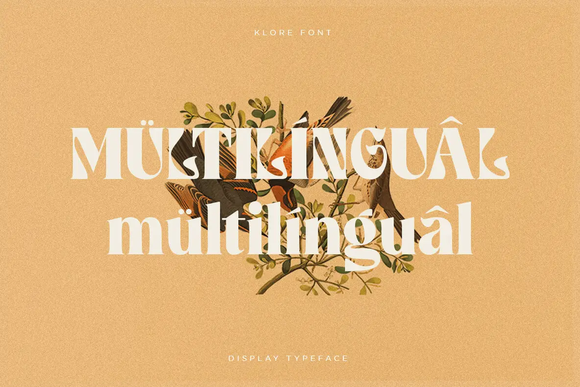 Klore Font - YouWorkForThem