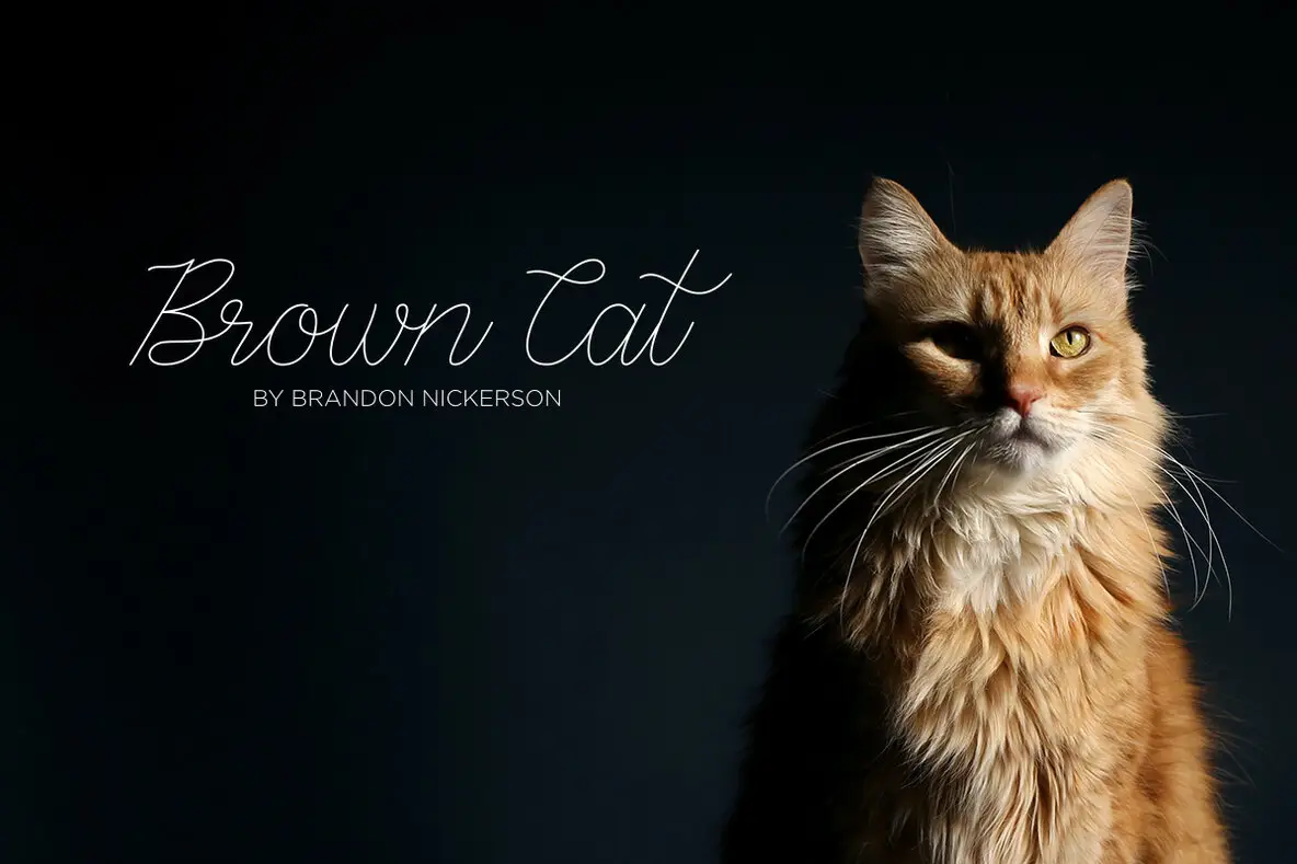 Faithful Font - YouWorkForThem