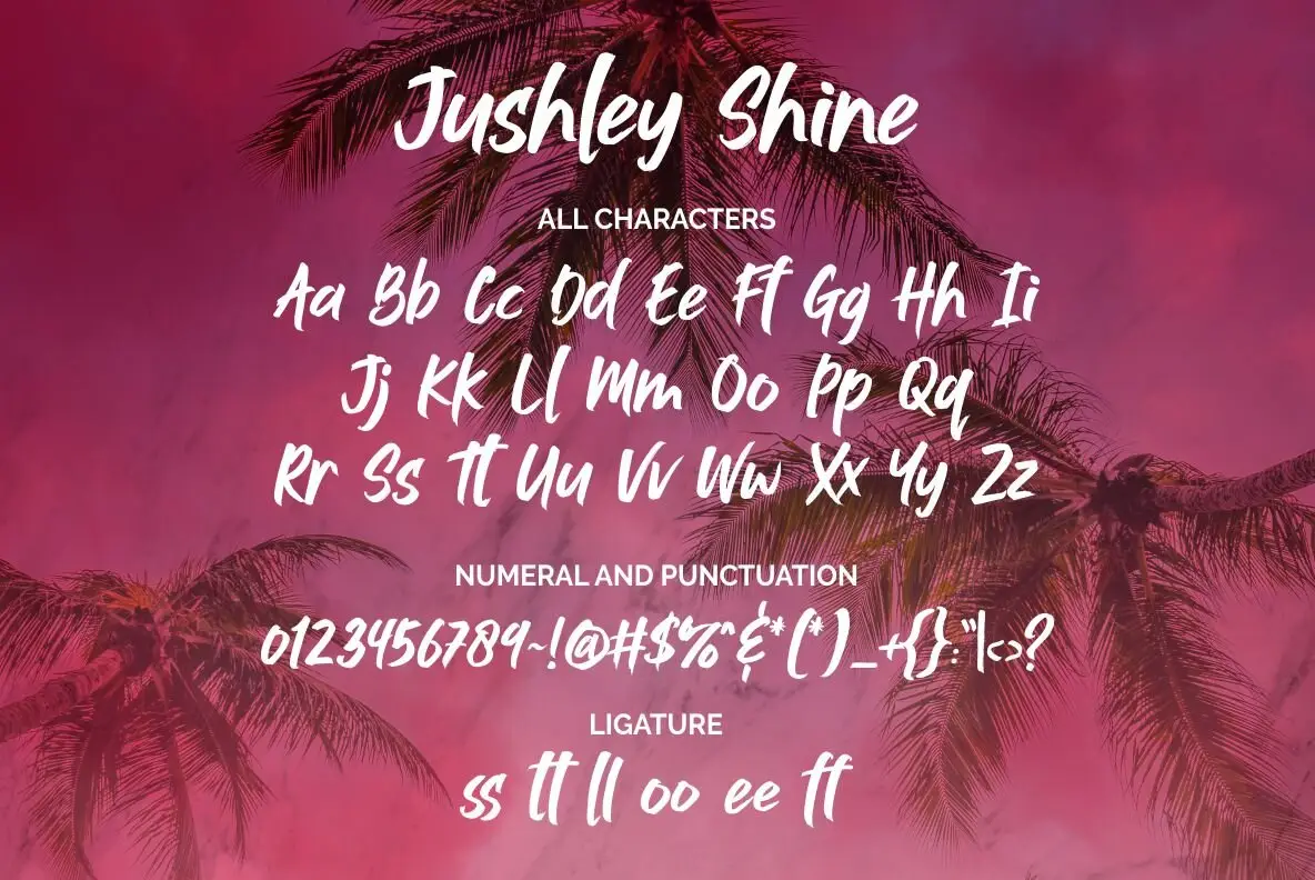 Jushley Shine Font - YouWorkForThem