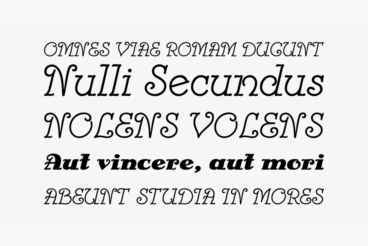 Card Pro Font - YouWorkForThem