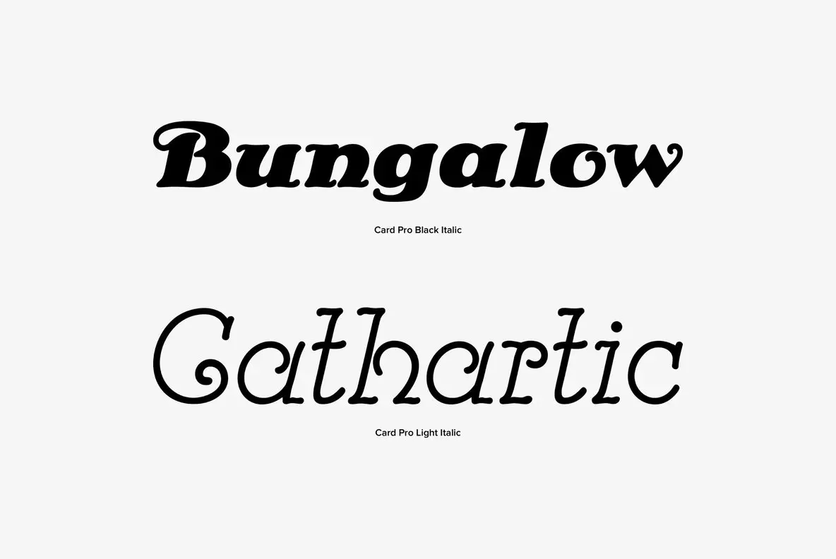 Card Pro Font - YouWorkForThem