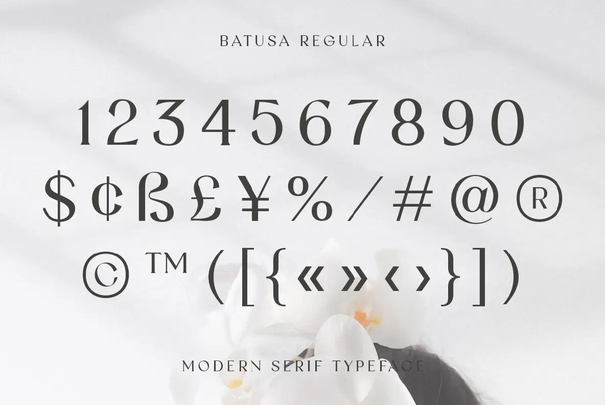 Batusa Font - YouWorkForThem