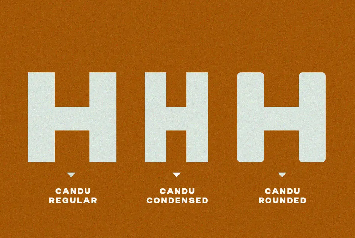 Candu Font - YouWorkForThem