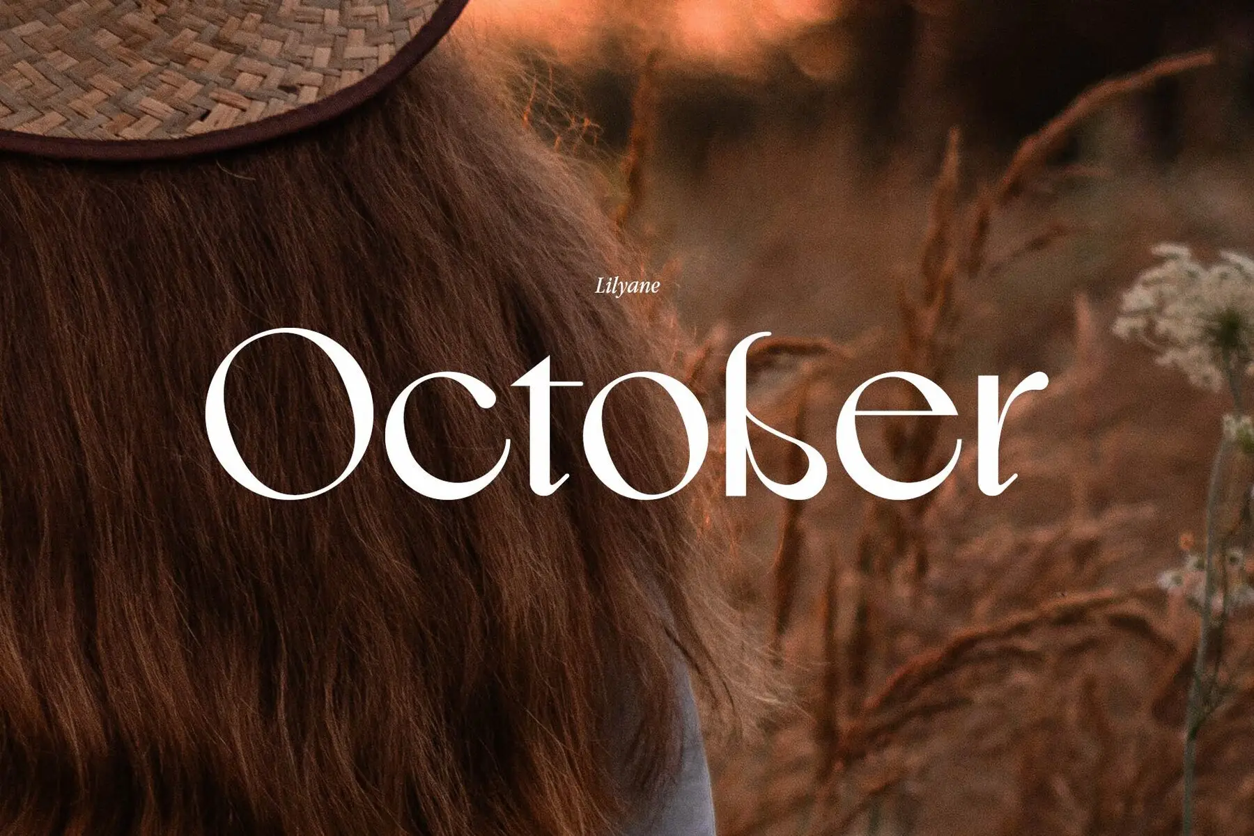 Lilyane Font - YouWorkForThem